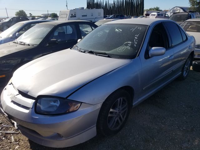 Orland Public Auto Auction