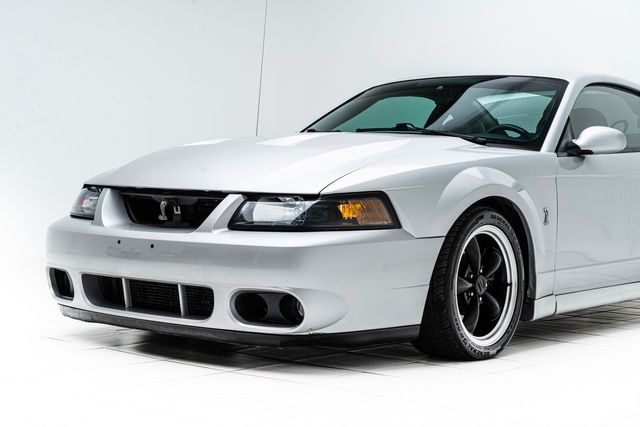 White Terminator Cobra